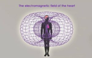 The Expanding Electromagnetic Field of the Heart - Stories from an ...